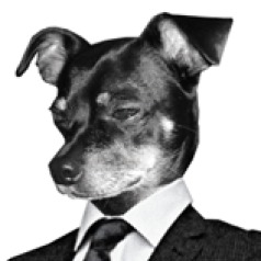 PlayStation®Plus Top Dawg Avatar | PS3 Price, Deals in US | psprices.com